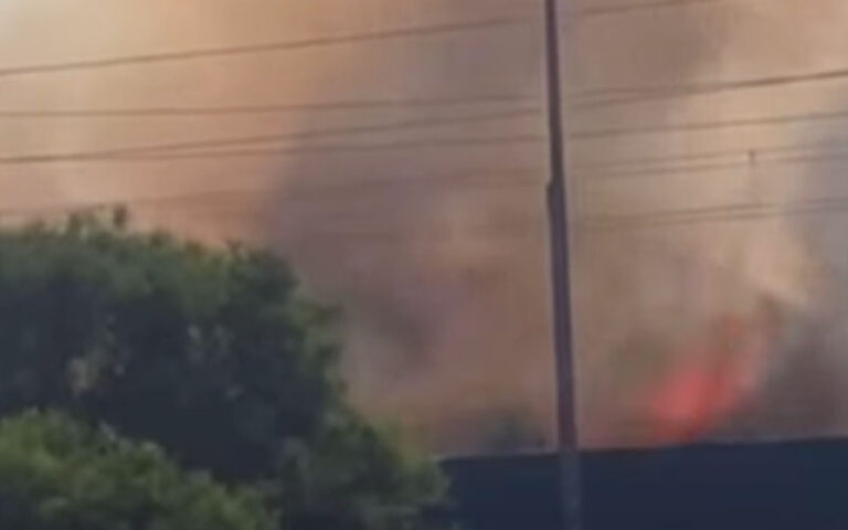 Police Suspect A Grass Fire In Adelaide May Have Been Deliberately Lit